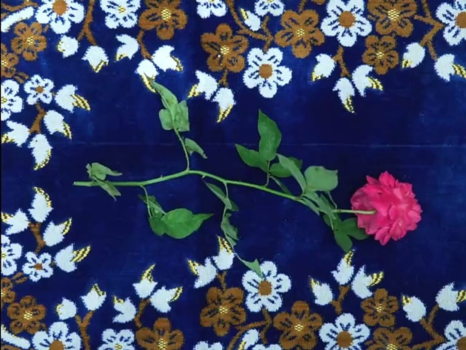 A Padam Of Padam | movie | 2022 | Official Trailer - video Dailymotion