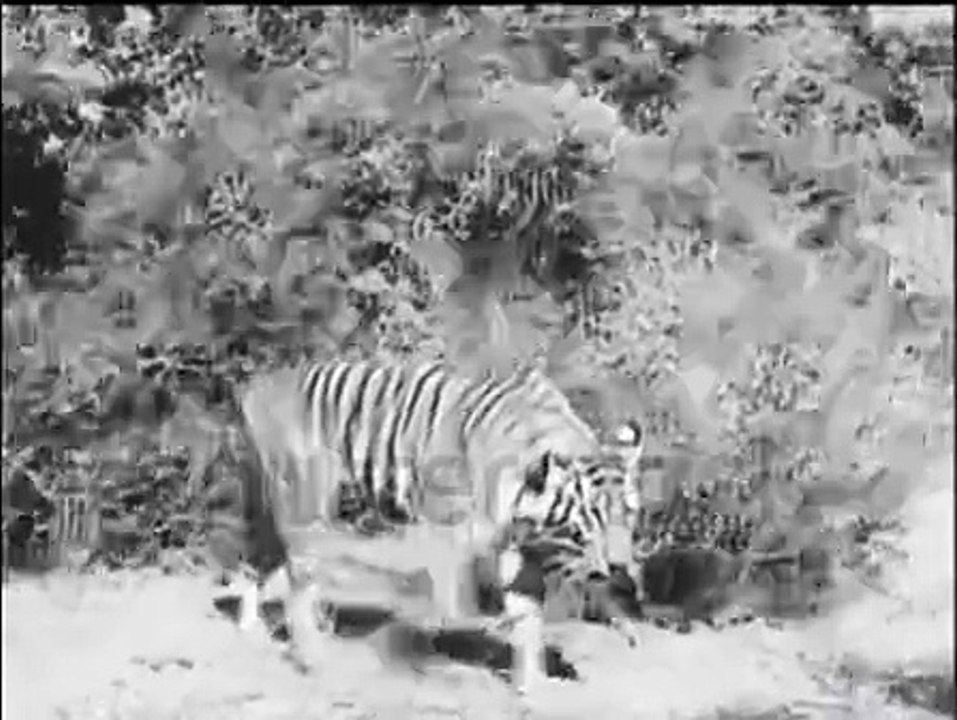 Tiger and snake fight - video Dailymotion