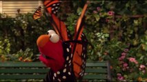 Elmo's Butterfly Friend | Sesame Street Full Episode. - video Dailymotion