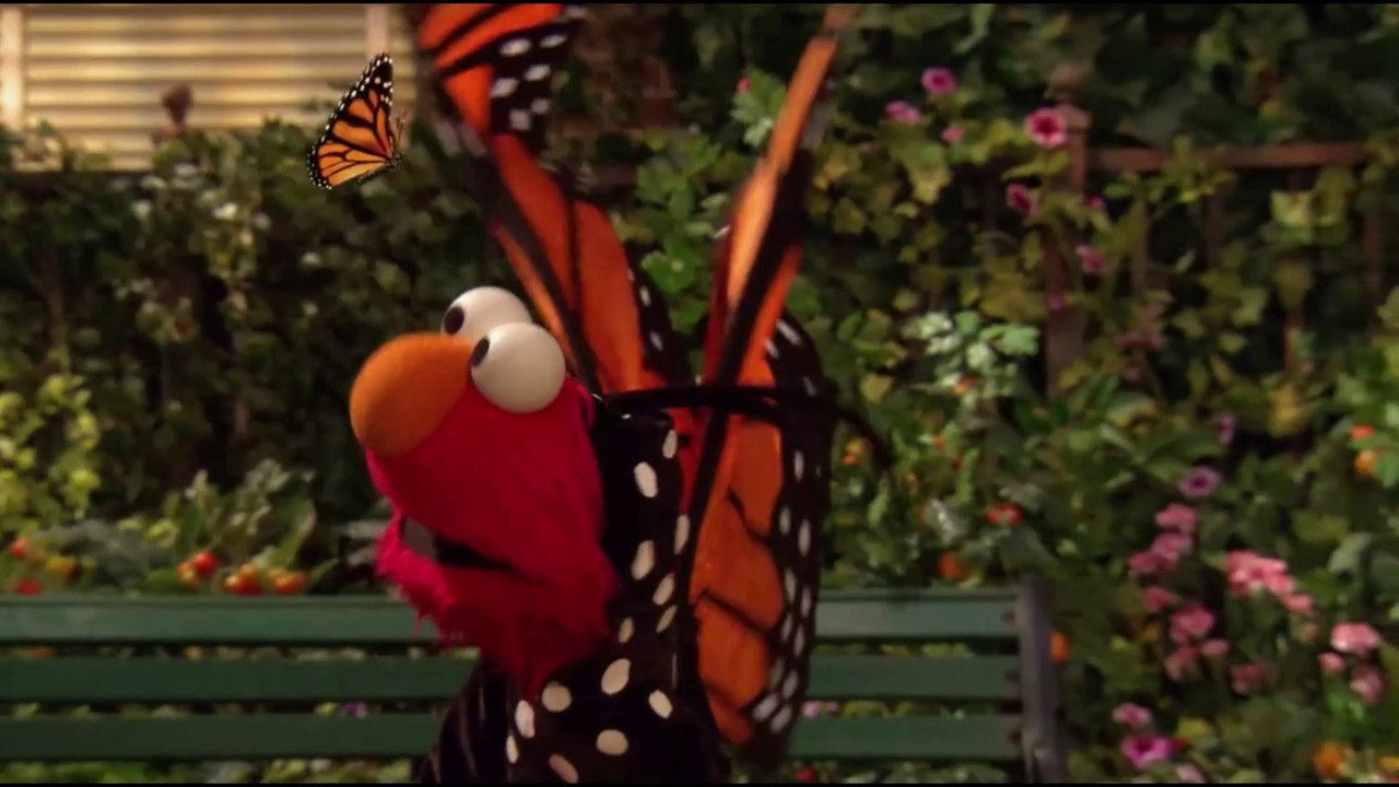 Sesame Street: Elmo and the Monarch Butterfly. - video Dailymotion