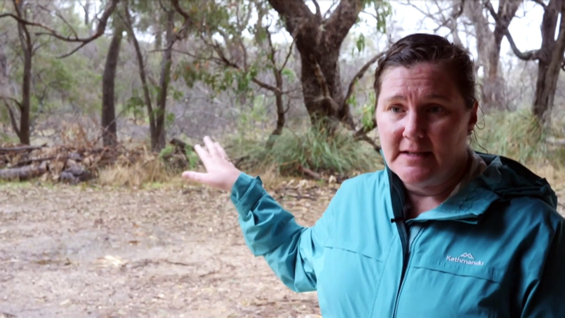 Perth aurora chaser joins fight to protect Lake Clifton Thrombolites ...