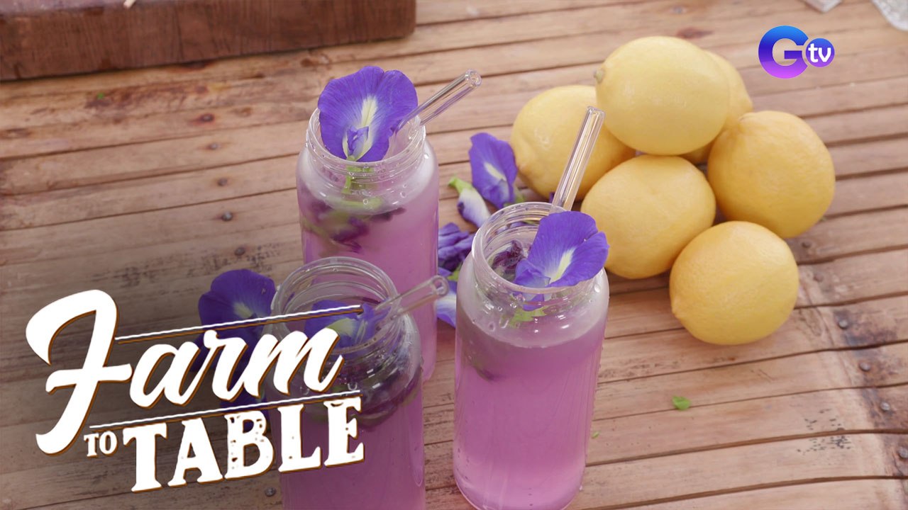 How to Make Blue Ternate Lemonade | Farm To Table - video Dailymotion