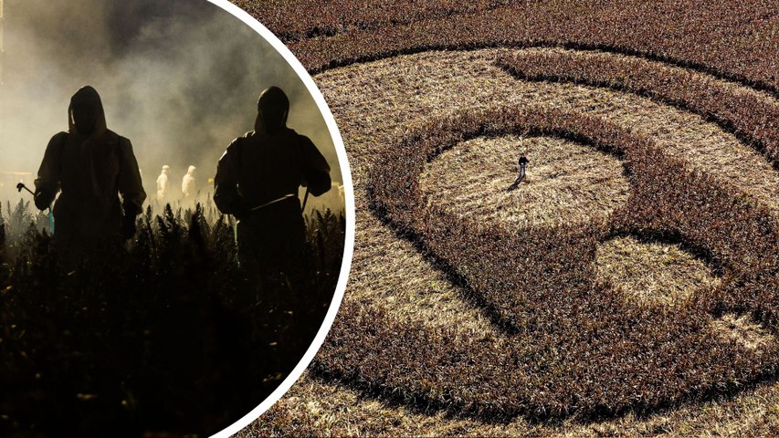 Truth is out there as mysterious crop circles are exposed | Farm Weekly ...