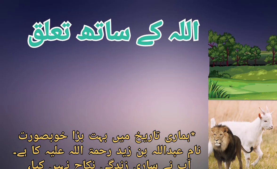 Allah or insan ka taluq#sumbalnaushahi - video Dailymotion