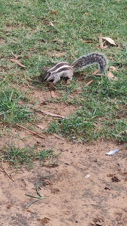 Gilhari in the Park - video Dailymotion