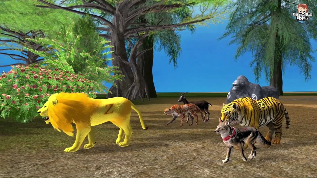 Lion and Tiger fight in hot weather | Golden Sher or Cheetah ki Larai ...