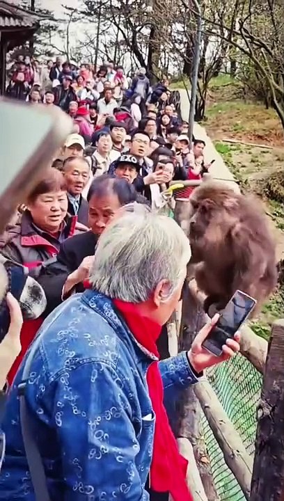 Ohhh_Nooo - video Dailymotion