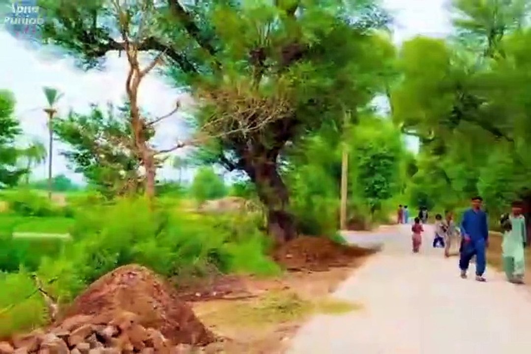 Pind Punjab dey | gaon de Zindagi | village life in Punjab very unique ...