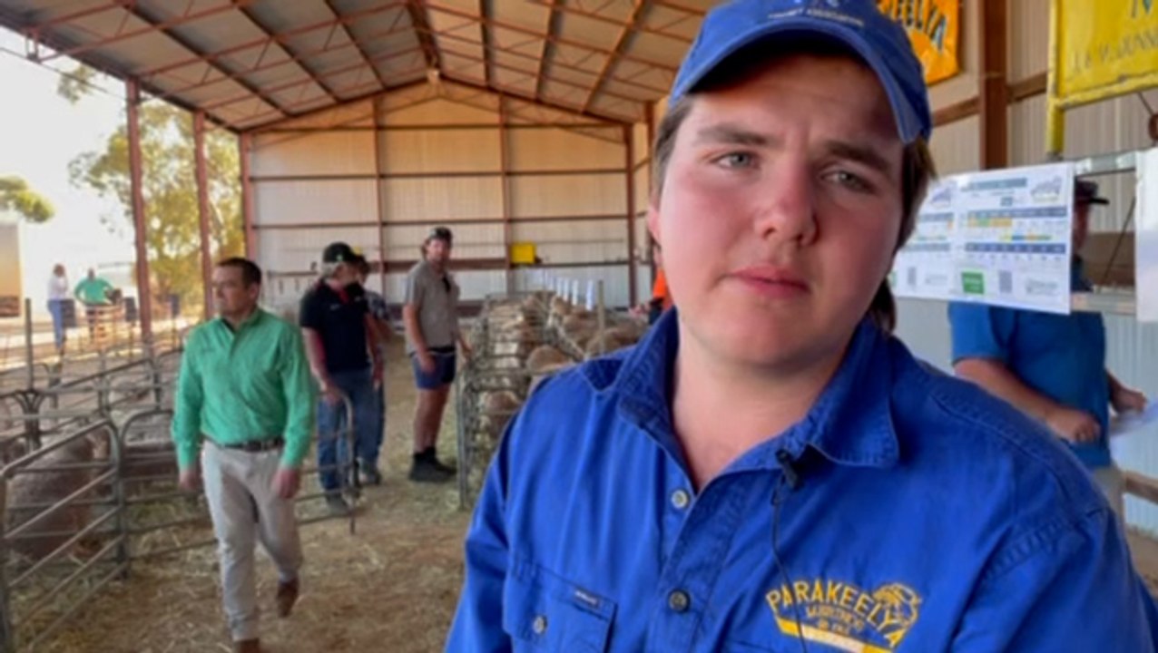 Parakeelya Poll Merino sale | Farm Weekly - video Dailymotion