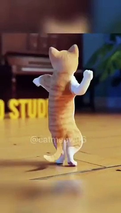 cat_dance___%23shorts_%23cat_%23viral_%23trending(360p) - video Dailymotion