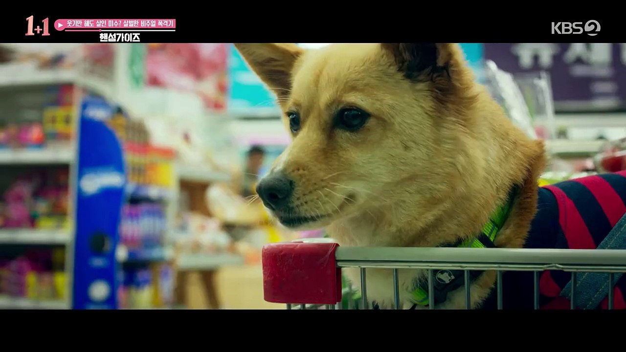 [KBS2] 꿀잼 영화가 좋다.E193.240703. - 동영상 Dailymotion