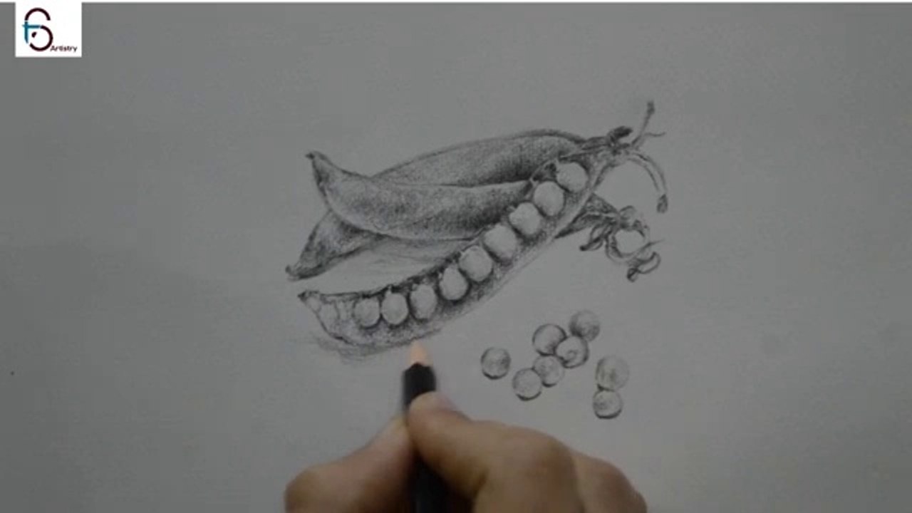 Quick Peas Drawing - video Dailymotion