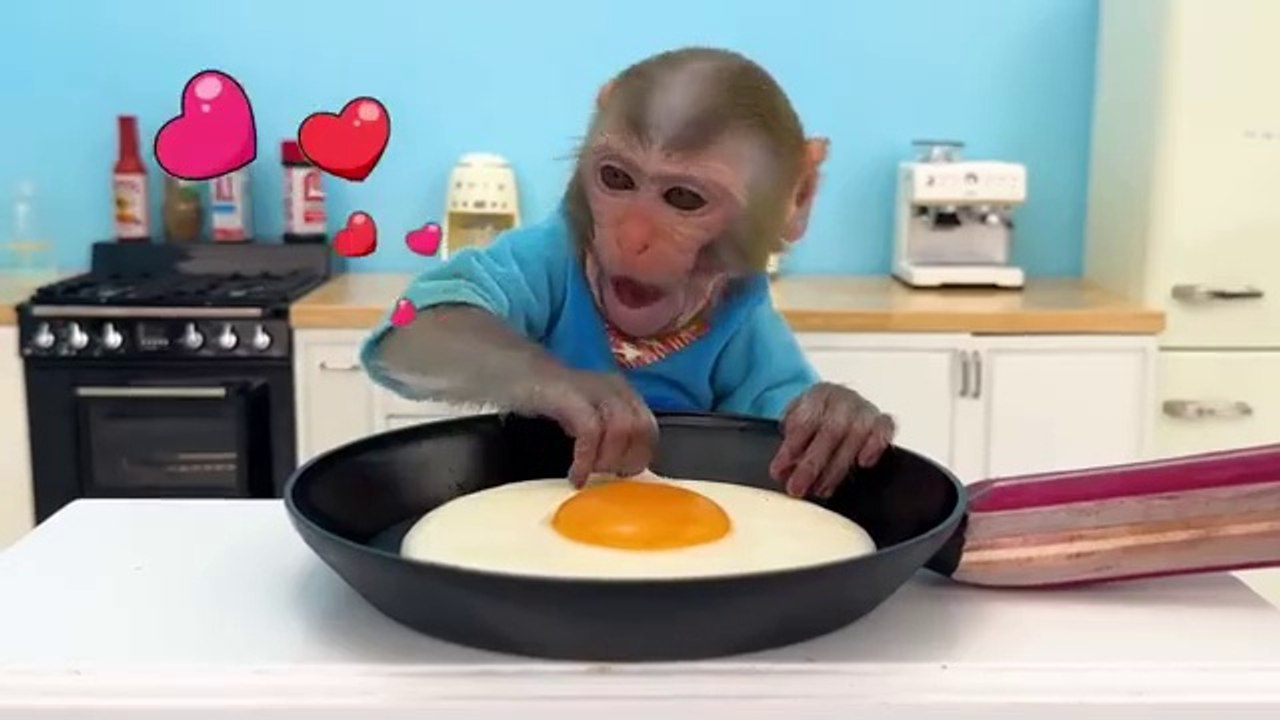 Monkey_Baby_Bon_Bon_cooking_giant_egg_for_breakfast - video Dailymotion