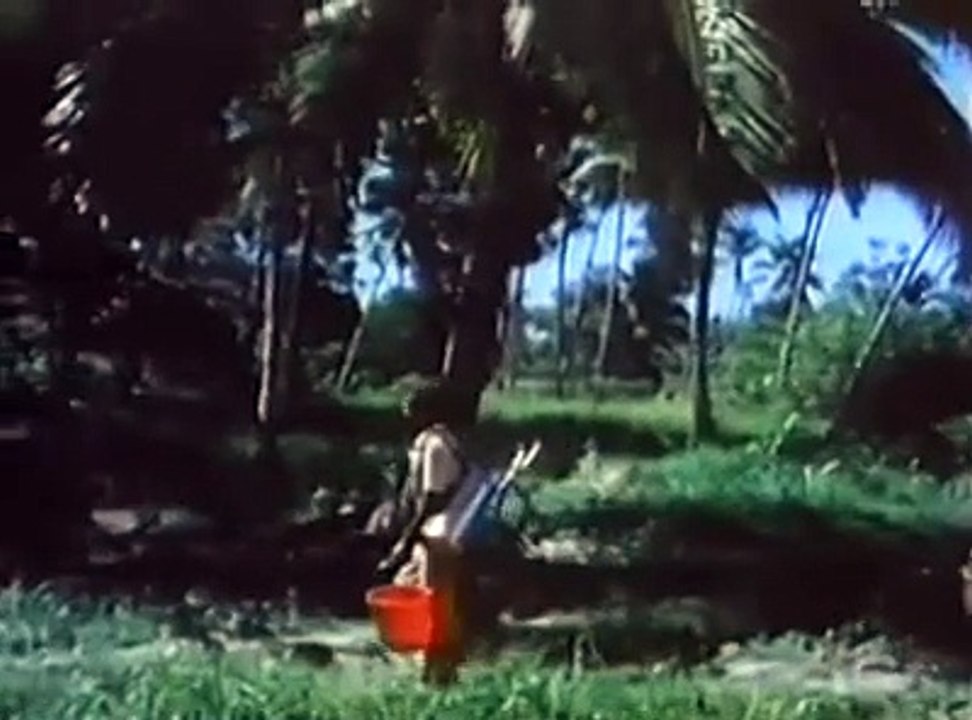 Conquest of the Parasites | Full Documentary | NOVA | PBS - video ...