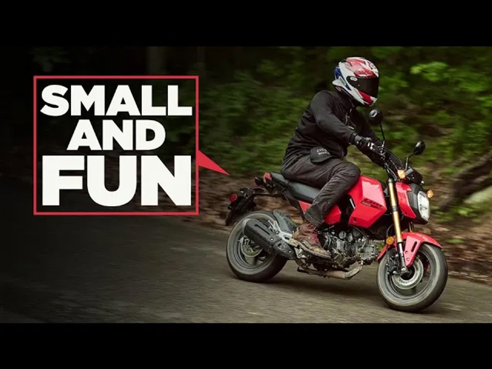 2025 Honda Grom First Ride Review - video Dailymotion