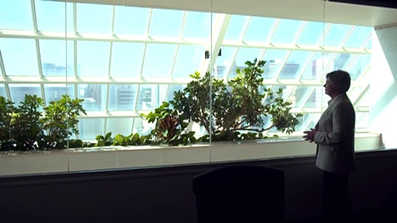 Calls for review as South Australia's anti-corruption commissioner Ann ...