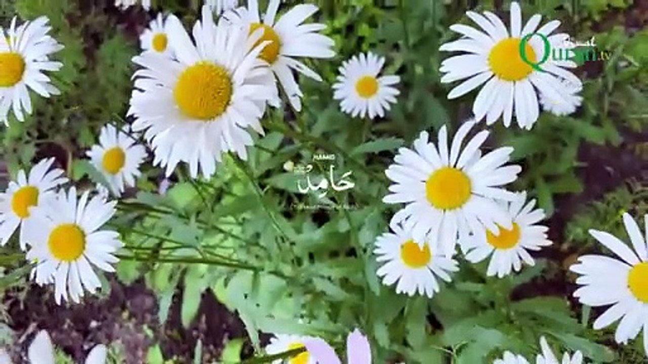 Asma ul Nabi _ Names of Prophet Muhammad SAW _ اسماء النبی ﷺ - video ...