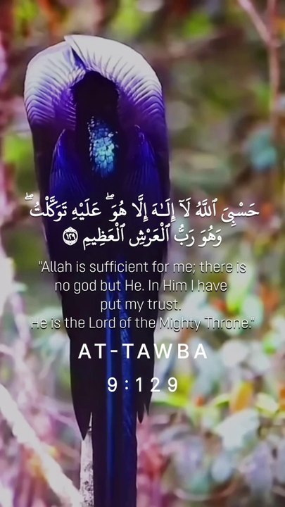 - Hasbi Allahu La Ilaha Illa Huwa #quranrecitation #hasbiallah # ...