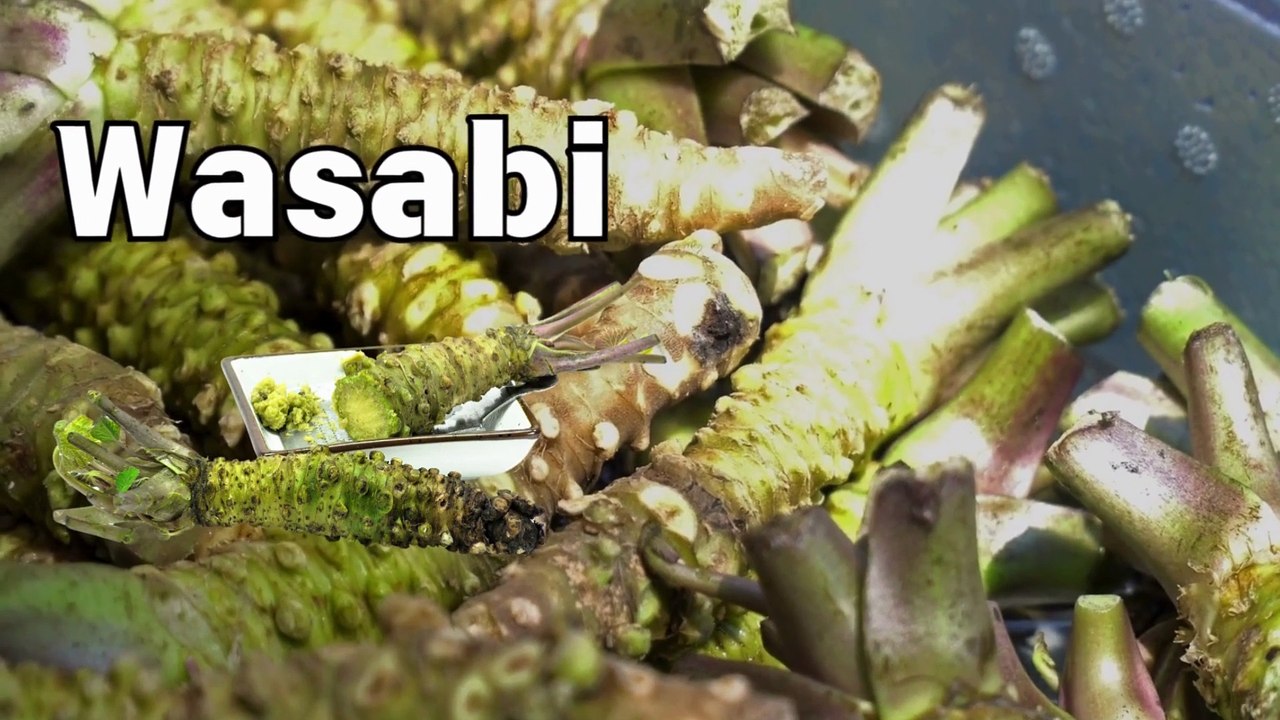 W is for Wasabi Fun and Educational ABC Poem for Kids Learn Alphabet ...