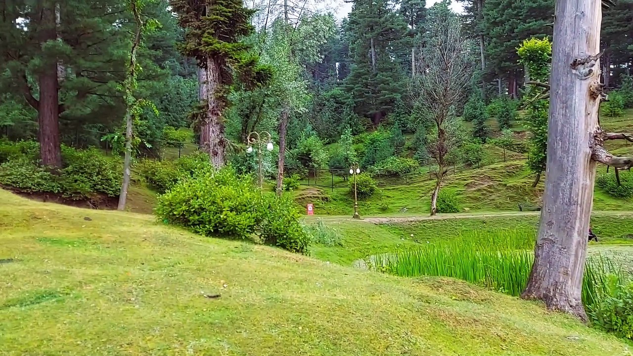 Exploring the Serene Beauty of Nilnag Lake: A Hidden Gem in Budgam ...