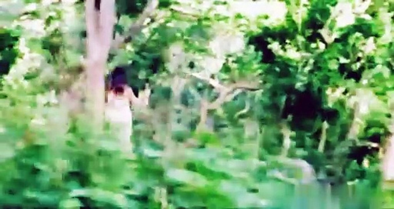 Python attack on women - video Dailymotion