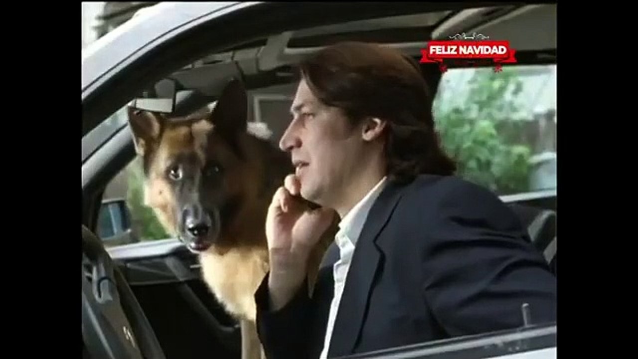 Comisario Rex Temporada 2 Capitulo 2 - Vídeo Dailymotion