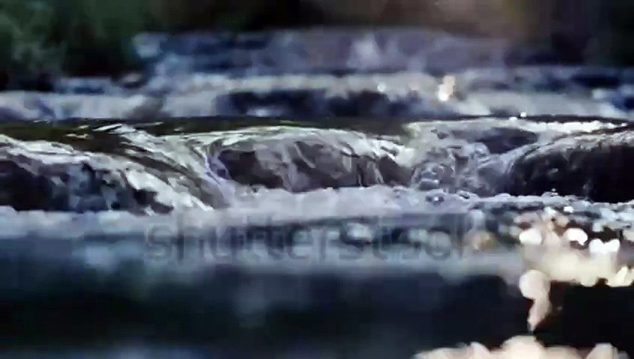 Sad poetry wrhter - video Dailymotion