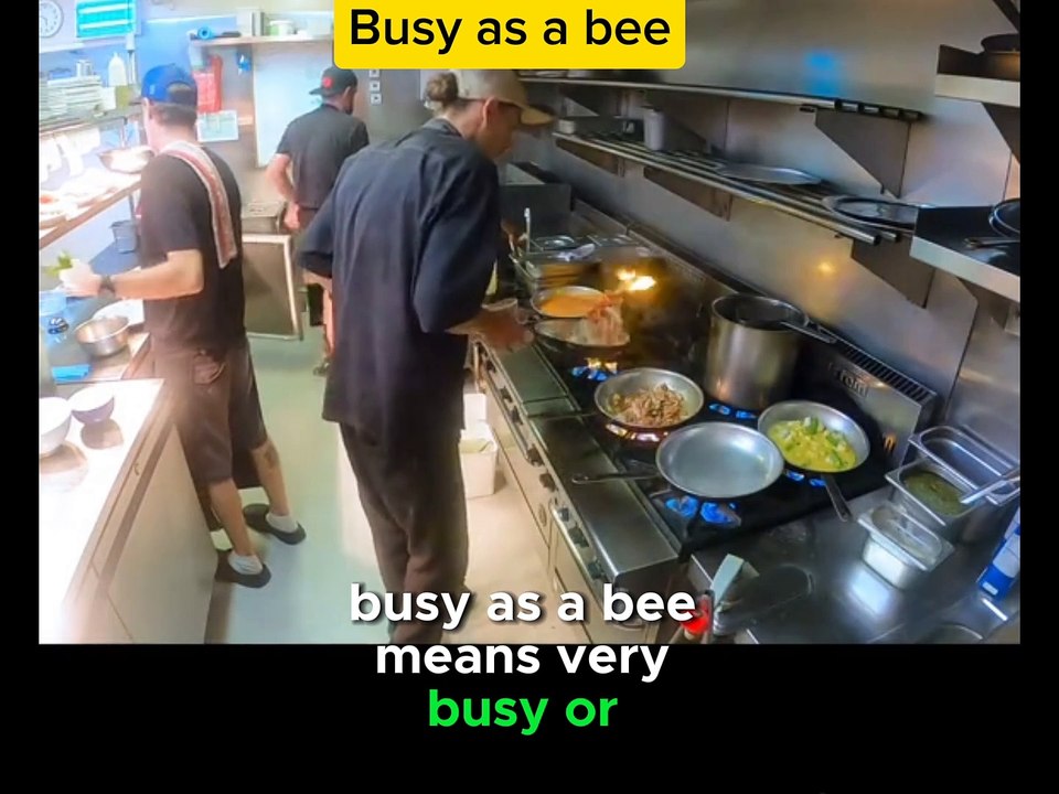 Busy as a bee (idiom) - video Dailymotion