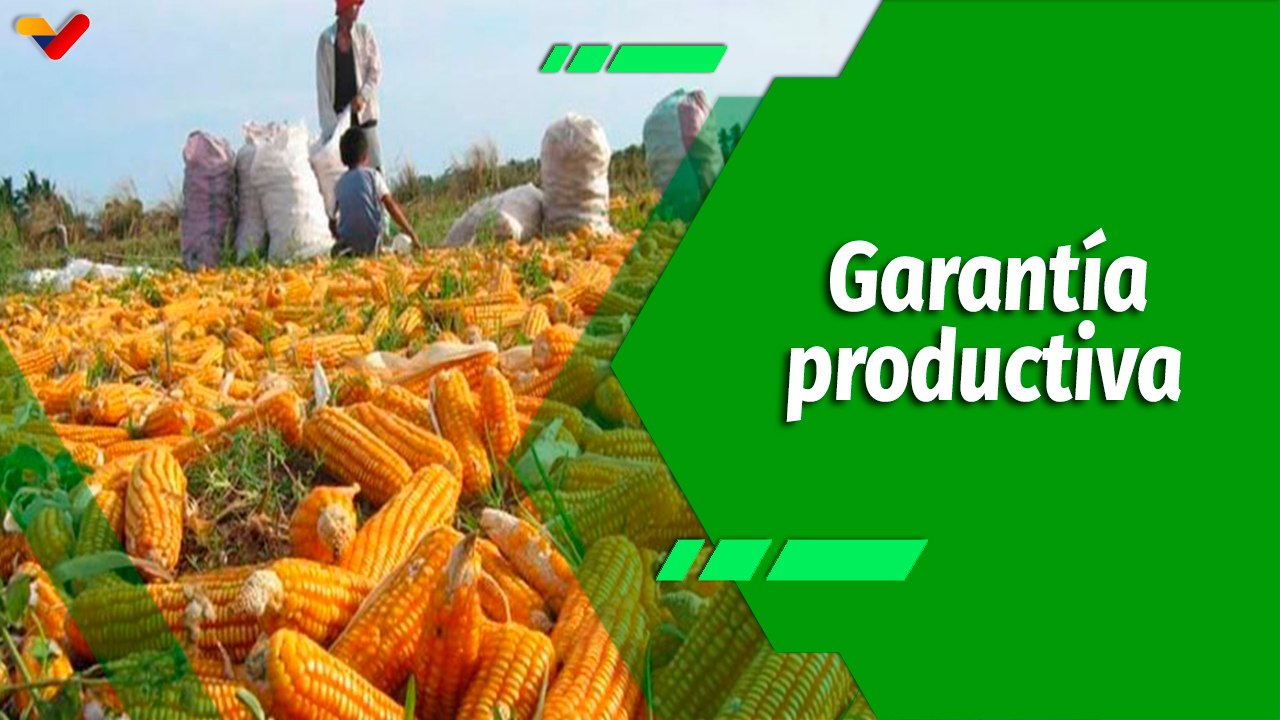 Cultivando Patria | Unidad de Producción "AGA Agrícola" a la vanguardia ...