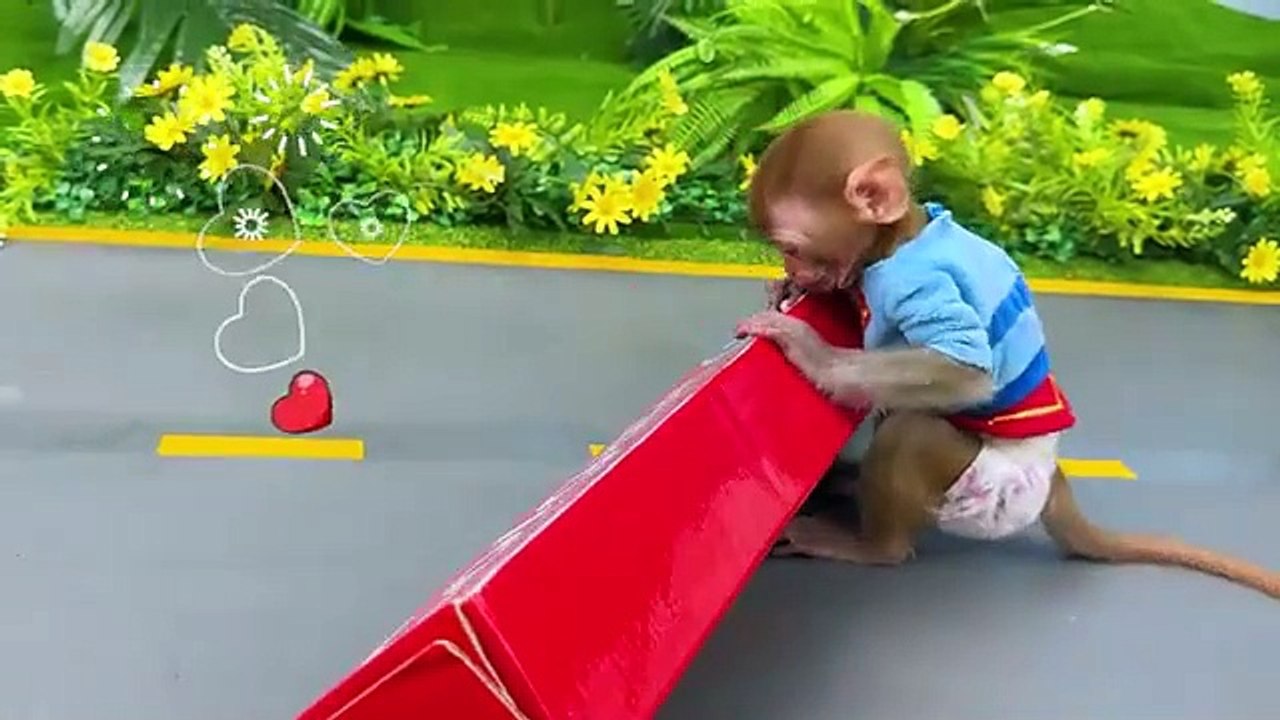Monkey Baby Bon Bon eats rainbow jelly with puppies and bathes with ...