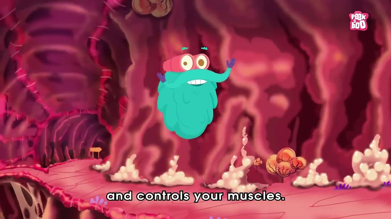 How Your Brain Works_ - The Dr. Binocs Show _ Best Learning Videos For ...