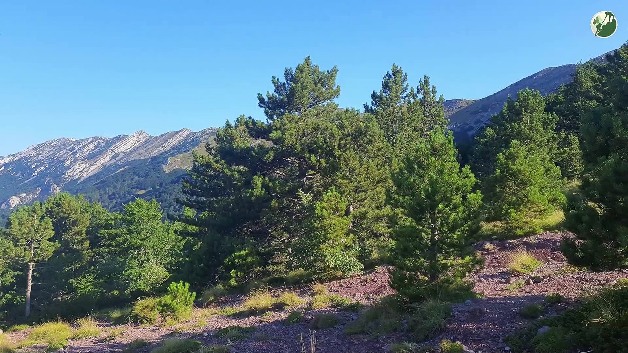 Vlaški Grad – Čičina dolina – Bunovac - video Dailymotion