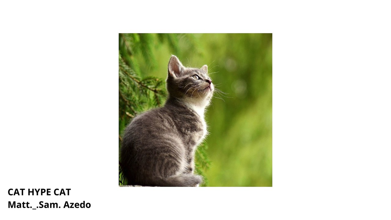 Matth Samm - CAT HYPE CAT - Vídeo Dailymotion