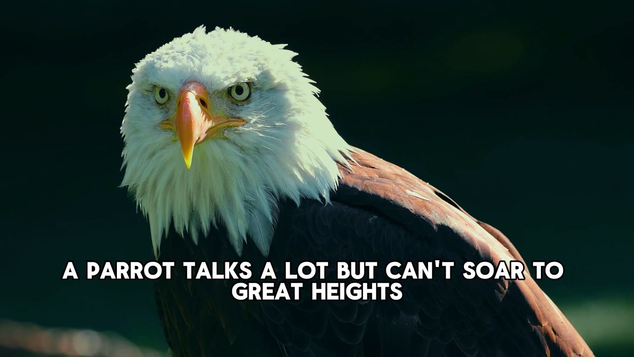 The Eagle Mentality: 7 Powerful Lessons You Need to Know | MotivaRise ...