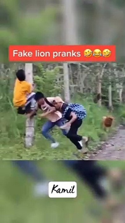 Funny video Funny - video Dailymotion