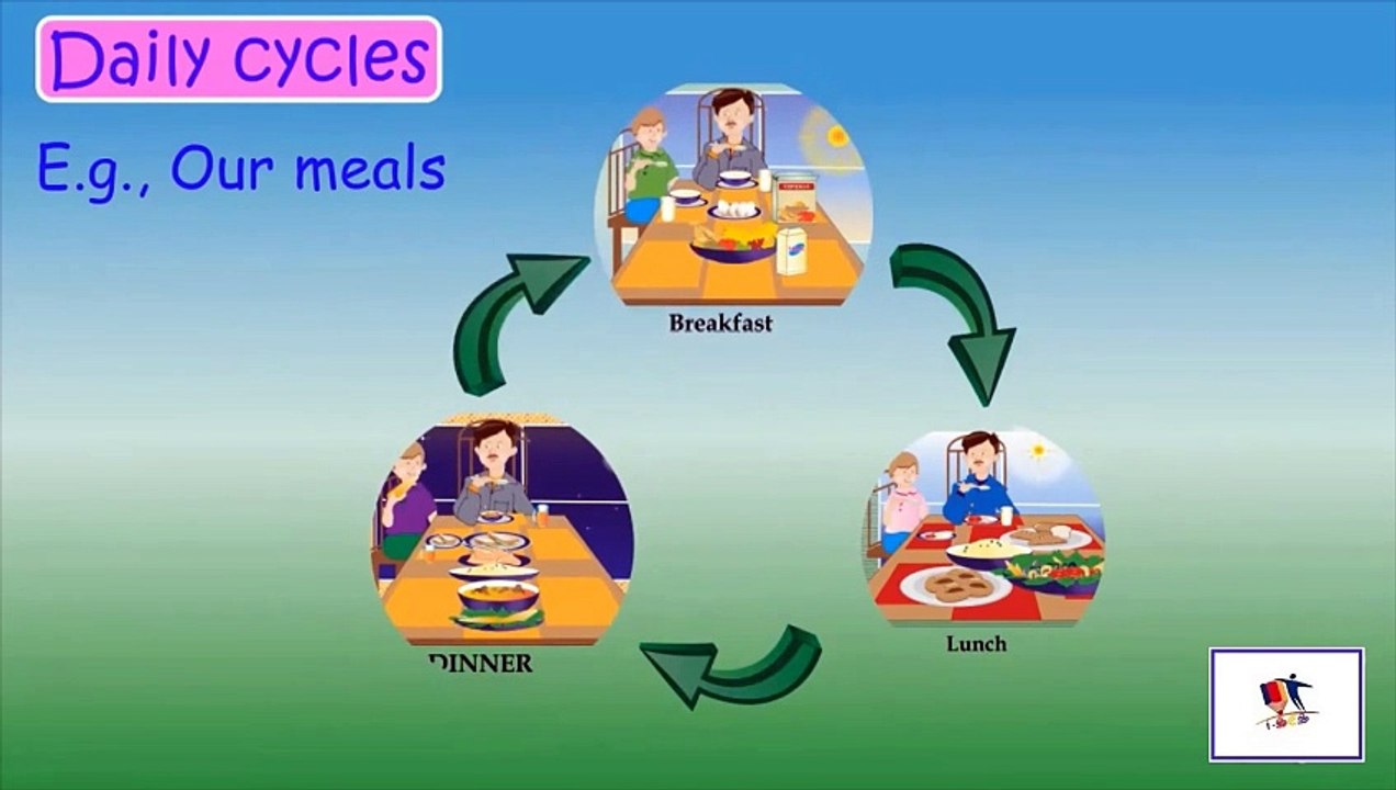 Daily Cycles In Our Life - video Dailymotion