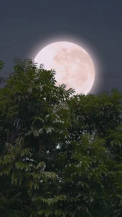 beautiful night view full moon | night sky moon 4k #shorts # ...