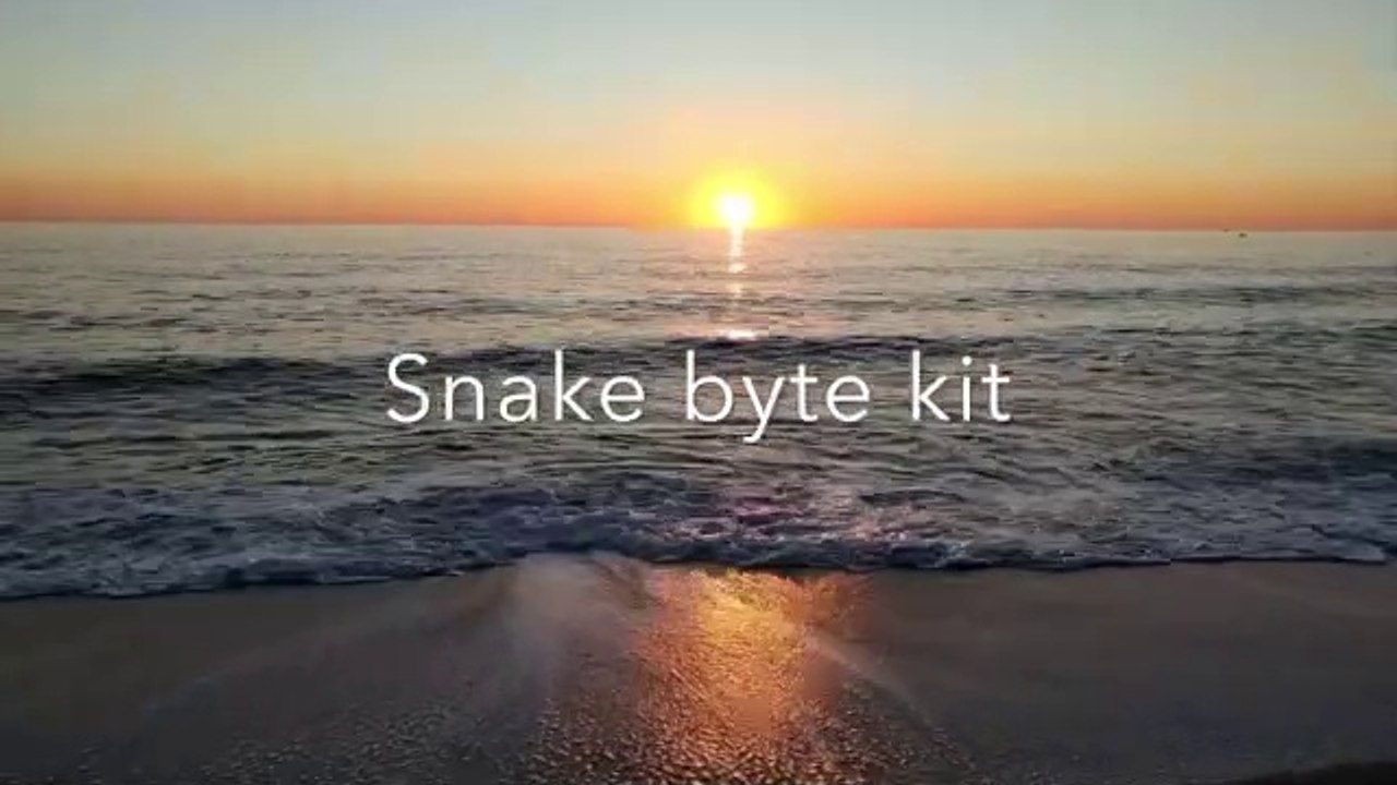 Snake byte Kit - video Dailymotion