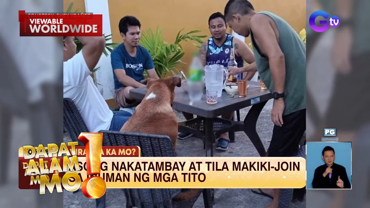 Aso, nakatambay sa inuman ng mga tito?! | Dapat Alam Mo! - video ...