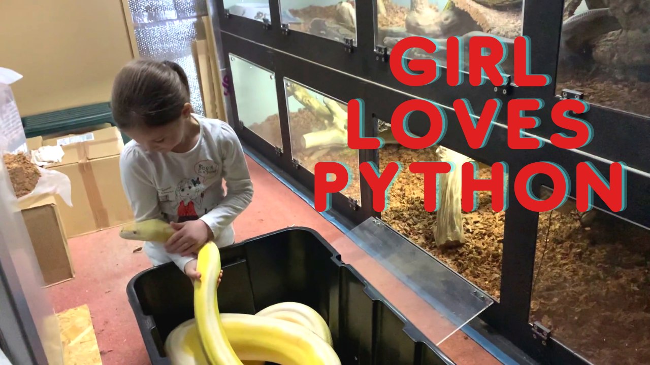 From Fear to Friendship: How a Little Girl Became Best Friends with ...