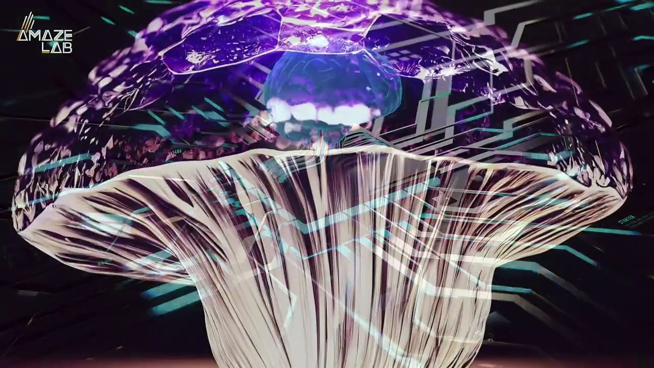 Researchers Create ‘Roboshroom,’ a Mushroom-Controlled Robot - video ...