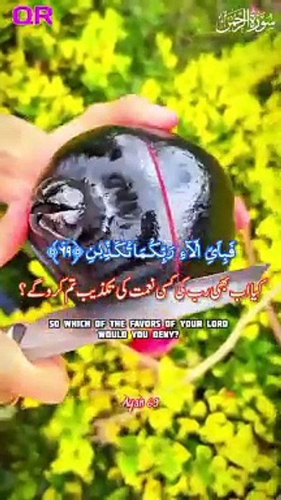 Surah Rahman soothing voice of holy Quran - video Dailymotion