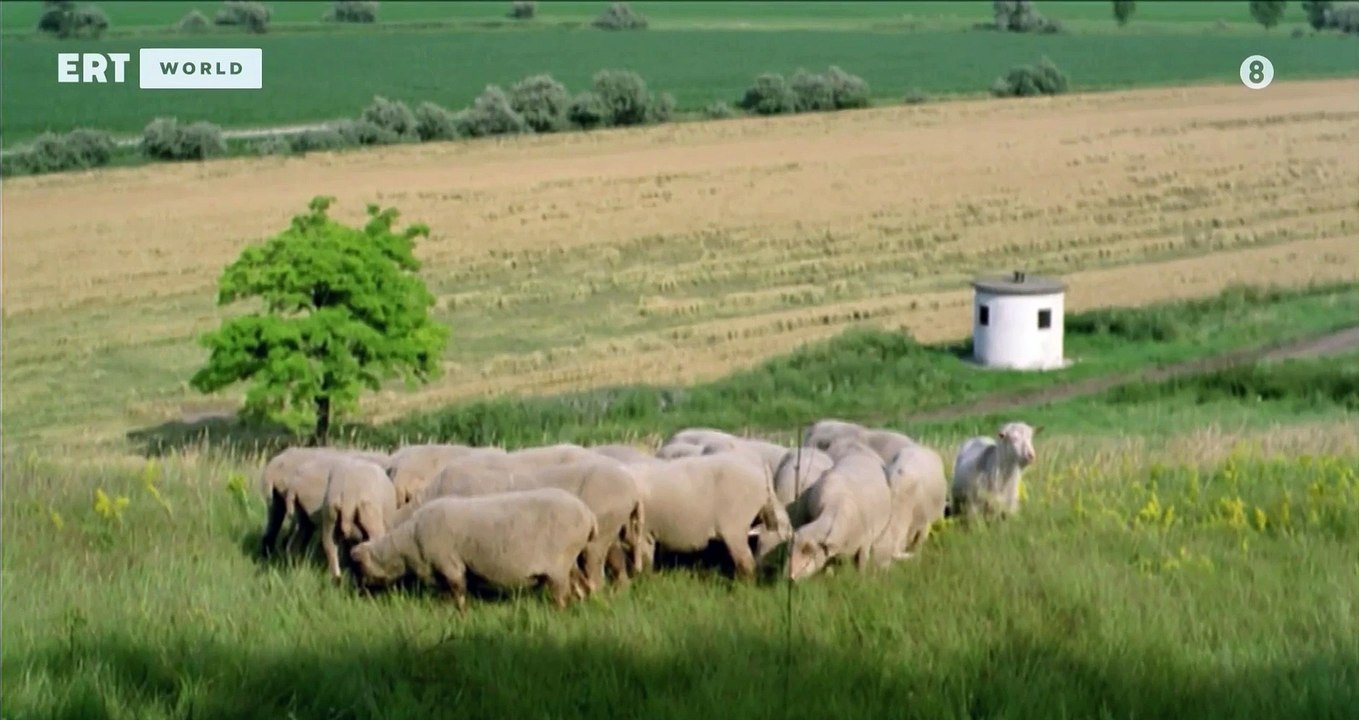 Καλή Πατρίδα Σύντροφε (1986) - video Dailymotion