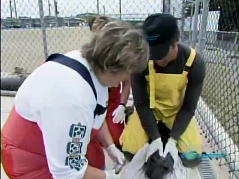 Dirty Jobs - Ostrich Farmer - video Dailymotion