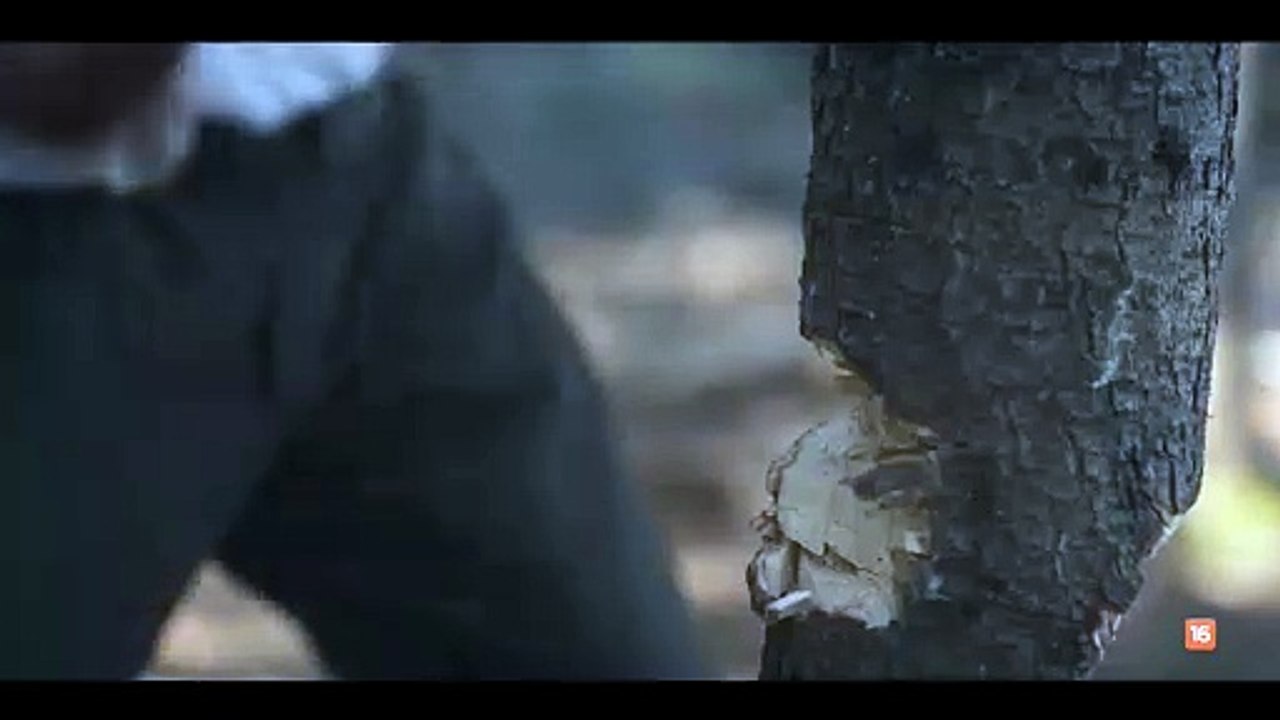 Barkskins | show | 2020 | Official Trailer - video Dailymotion