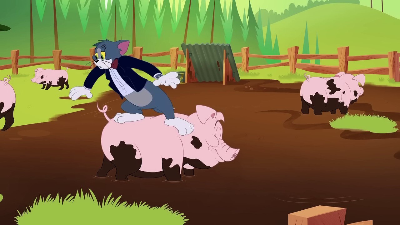 Tom & Jerry｜Best Moments from Tom the Butler｜Cartoon Compilation｜Only ...