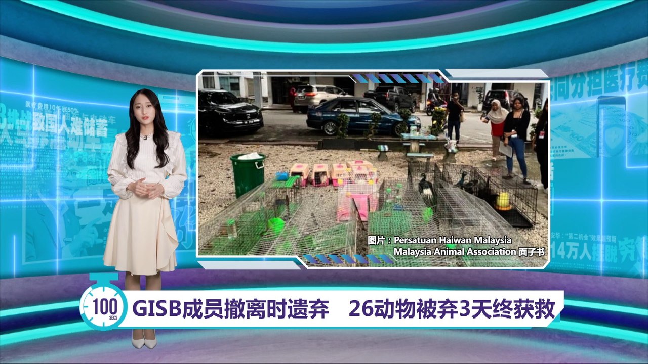 GISB成员急撤离被弃3天 26动物获救包括罕见矮种马 - video Dailymotion