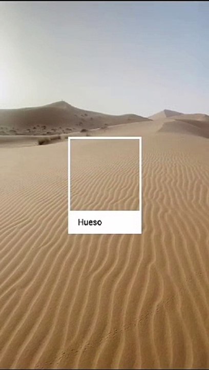 video color hueso topcret - Vídeo Dailymotion