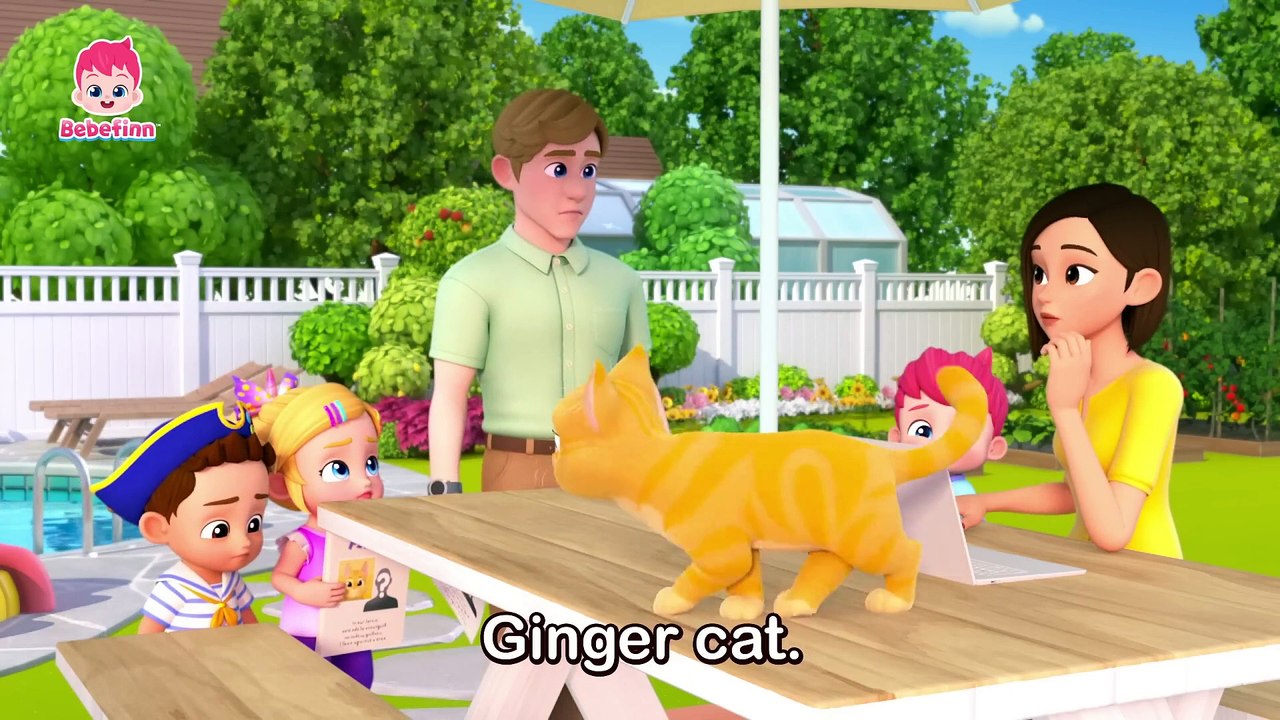 The Cat Song: Sing Along with Bebefinn! | Fun Nursery Rhymes for Kids ...
