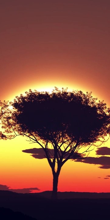 Sun - video Dailymotion